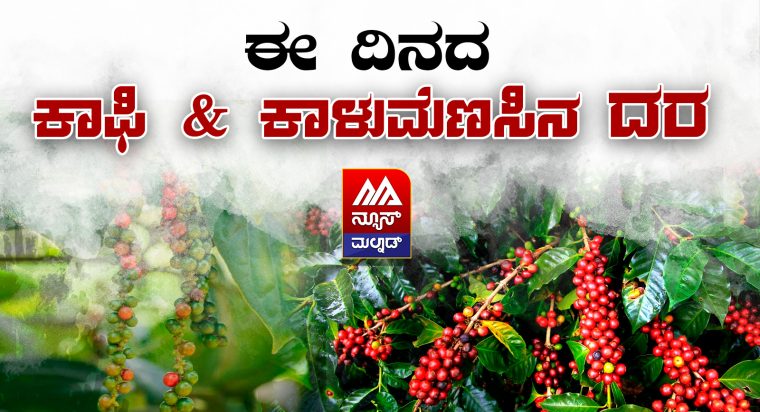 coffee and pepper: ಕಾಫಿ ಹಾಗೂ ಕಾಳು ಮೆಣಸಿನ ರೇಟ್ ಹೇಗಿದೆ? - News Malnad