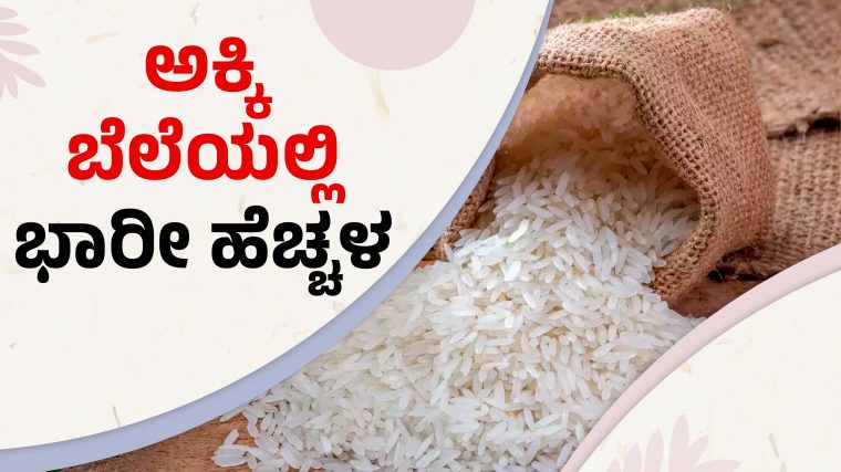 Rice Price Hike: ಅಕ್ಕಿ ಬೆಲೆಯಲ್ಲಿ ಭಾರೀ ಹೆಚ್ಚಳ - News Malnad