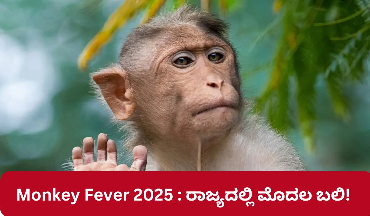 Monkey Fever 2025 : ರಾಜ್ಯದಲ್ಲಿ ಮೊದಲ ಬಲಿ! - News Malnad